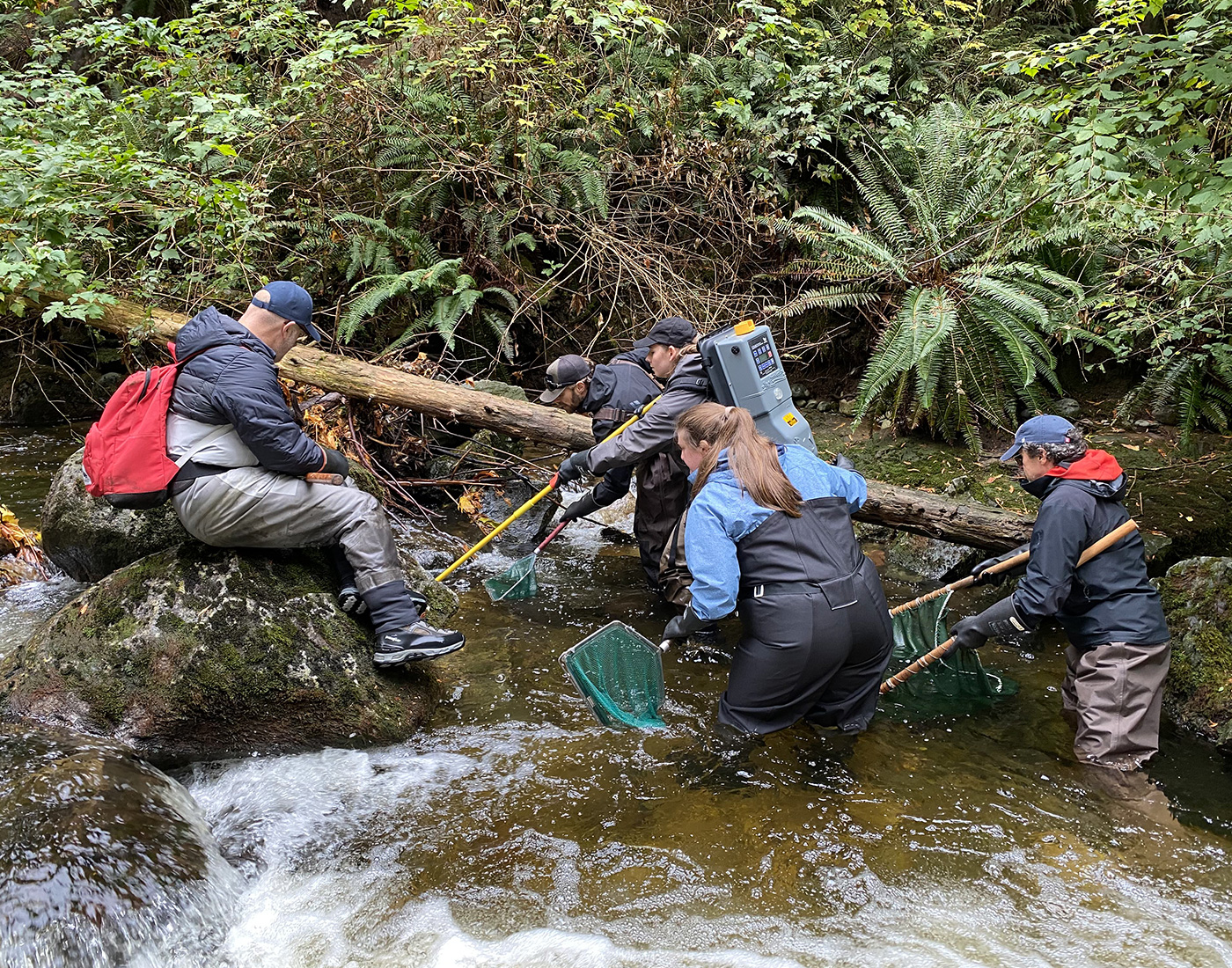 Services - Habitat Monitoring & Environmental Management BC